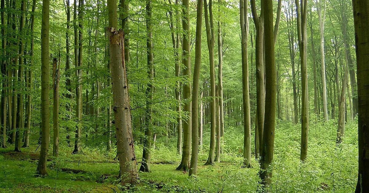 A Mátra a tökéletes hely ha nyaralót keresel